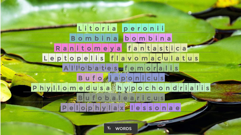 Anura (Latin names for frogs) Words - Digital teaching and learning ...